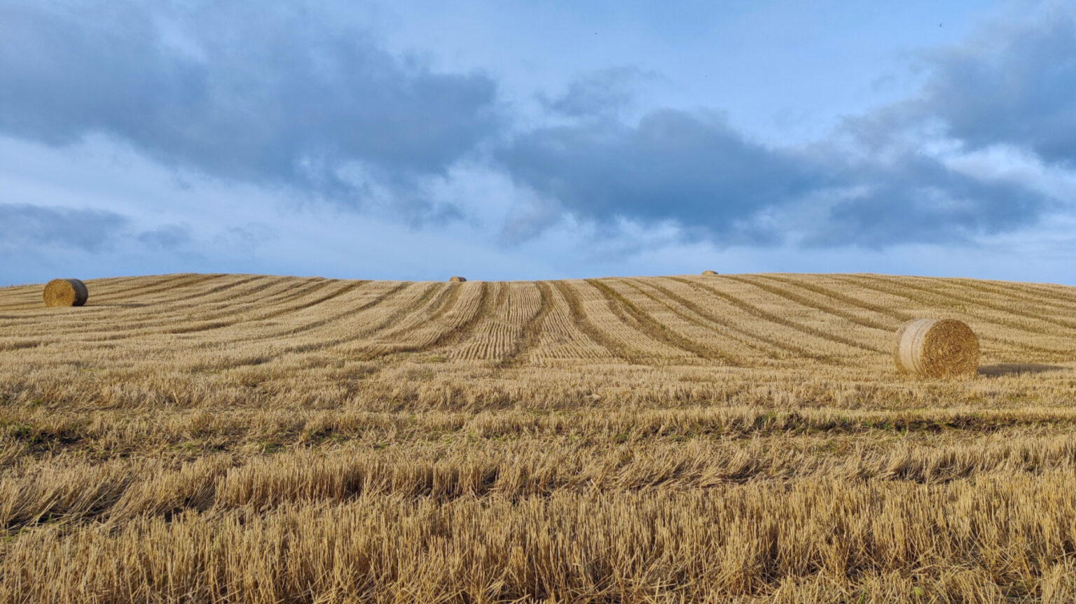 Agriculture | Harcros Chemicals