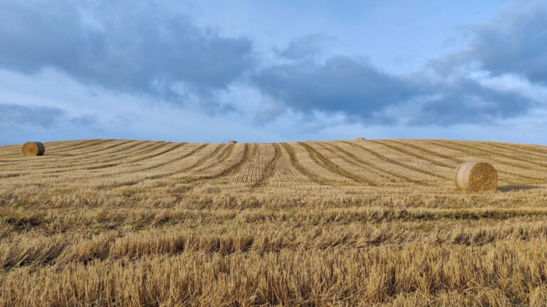 Agriculture | Harcros Chemicals