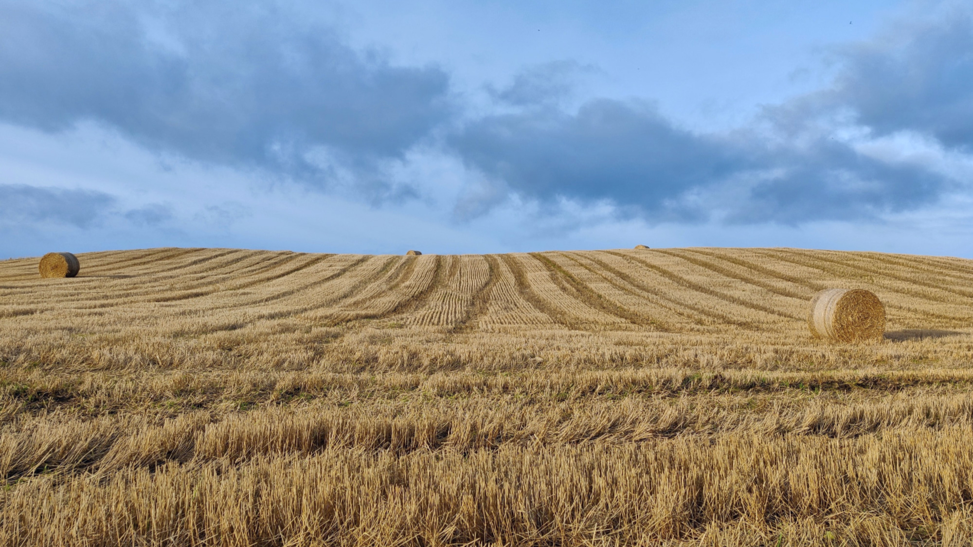 Agriculture | Harcros Chemicals