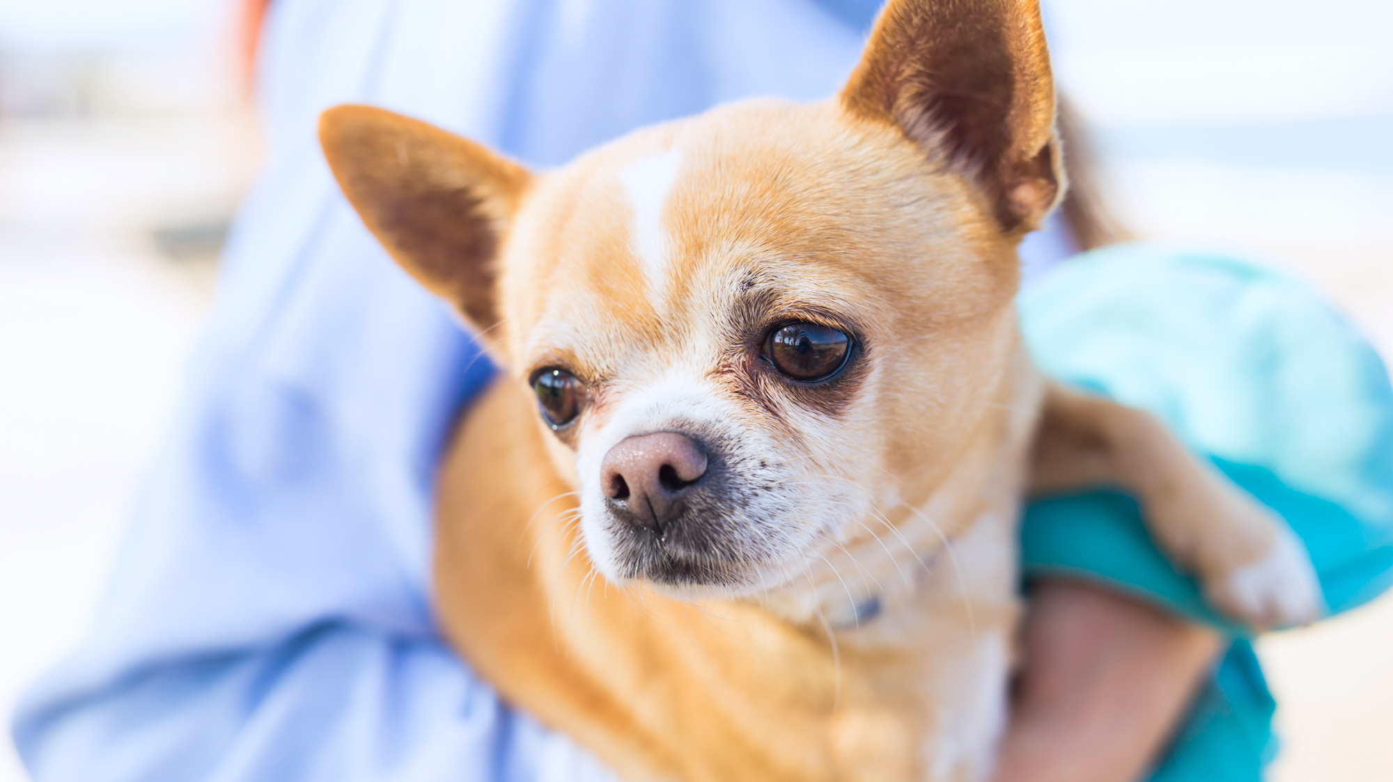 Home | Harcros Chemicals